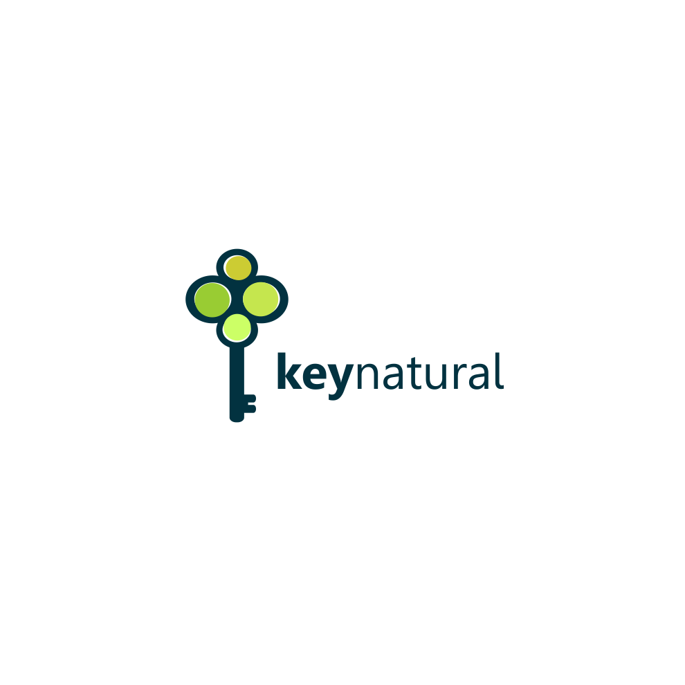 Key Logos - Free Key Logo Ideas, Design & Templates