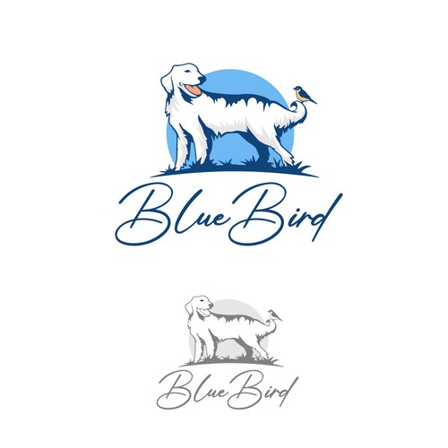 Designs | Bluebird | Logo design contest