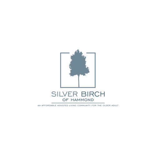 Silver Birch | Logo design contest