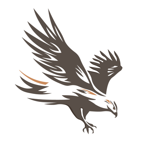 Designs | Tellus Law Group - HAWK LOGO (Flying Hawk & Hawk Head) | Logo ...