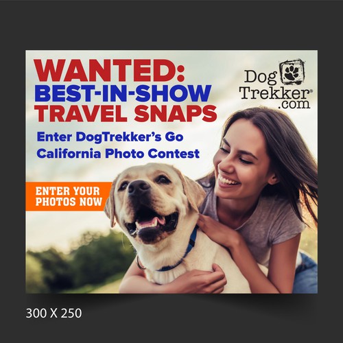 Designs | Banner for dog photo contest | Signage contest
