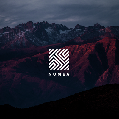 Pattern Design by Professional Pattern and Textile Designers | 99designs