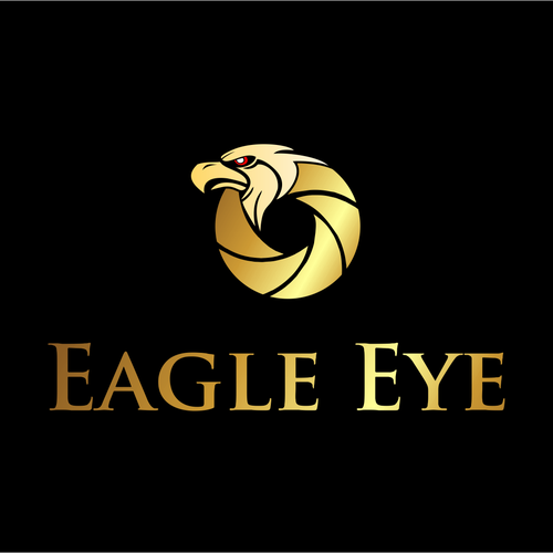 Create a logo with an eagle+camera lens eye or car+dashcam for Eagle ...
