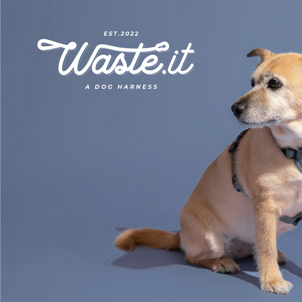 Our hipo program needs a logo! | Logo design contest | 99designs