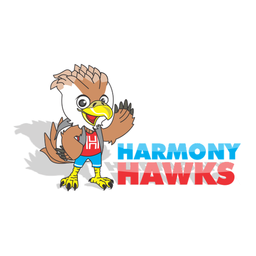 Kid friendly Hawk mascot that will promote Hawks rising to excellence ...