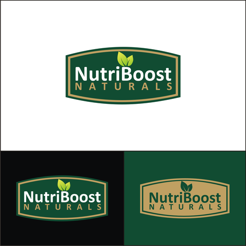 NutriBoost Naturals | Logo design contest