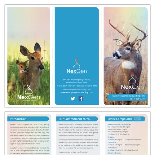 Create Attention Grabbing Brochure for Compounding Pharmacy | Brochure ...