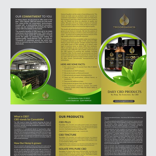 Create a brochure for Tru Organics - High CBD Hemp Oil Products ...