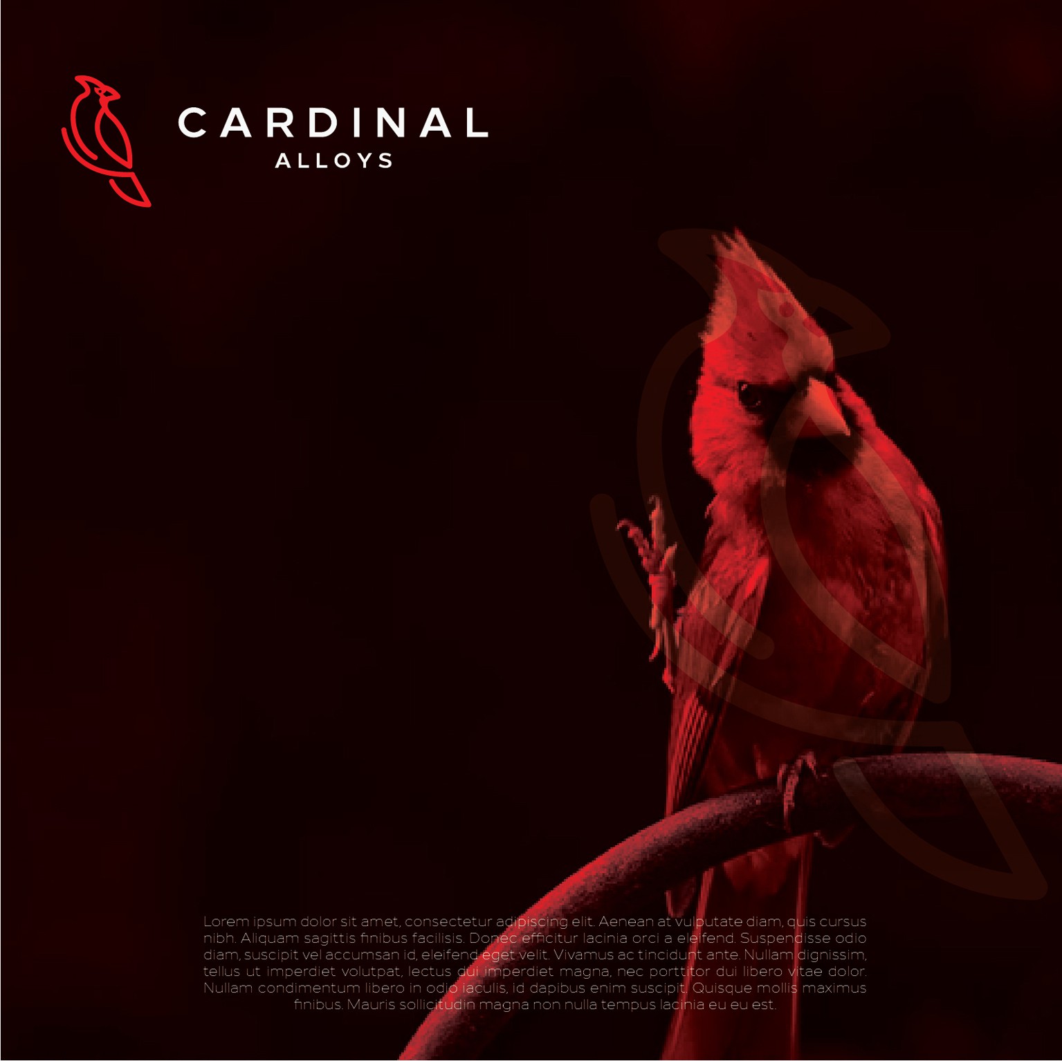 Cardinal Logos - Free Cardinal Logo Ideas, Design & Templates