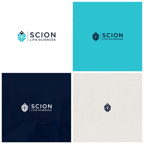 Designs | Putting the Finishing Touches on Our Life Sciences Company ...