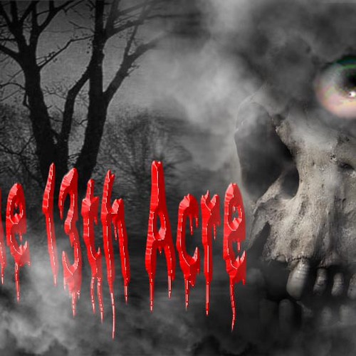 The 13th Acre | Logo design contest