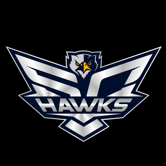 Hawk Logos - Free Hawk Logo Ideas, Design & Templates