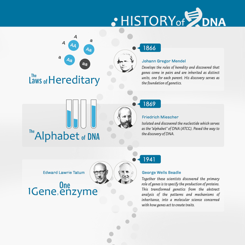 Infographic for the History of DNA Discoveries and Art | Infographic ...