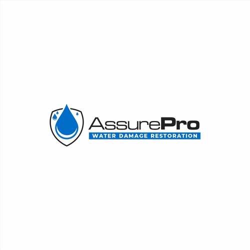 Designs | Transforming Water Damage into Art – Logo for a Thrilling ...