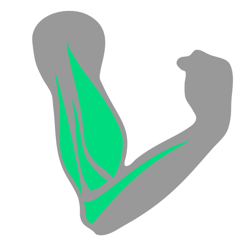 Create 2 muscle icons for a health and fitness app | Icon or button contest