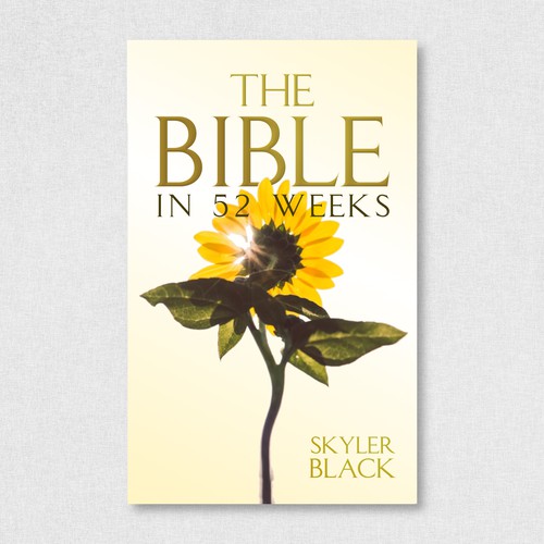 Designs | Painterly Book Cover for Yearlong Women's Bible Study | Book ...