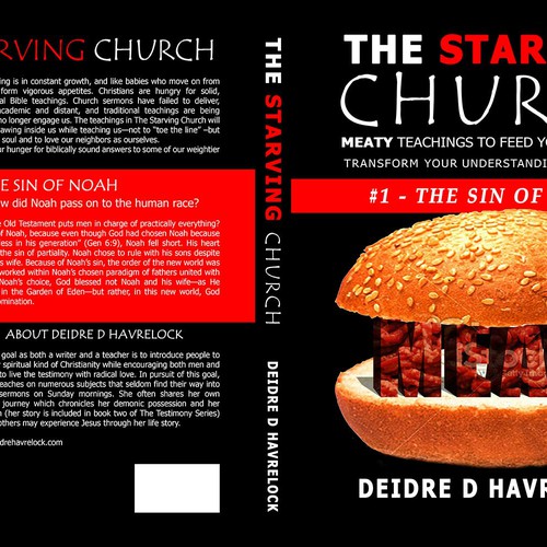 Create a stunning book cover for non-fiction, quirky, Christian series ...