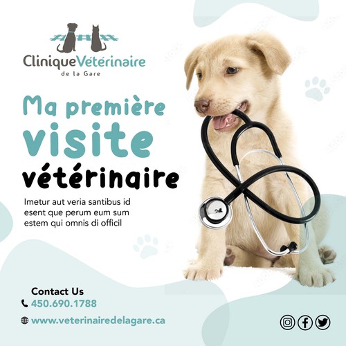 Designs | My first veterinary visit | Postcard, flyer or print contest