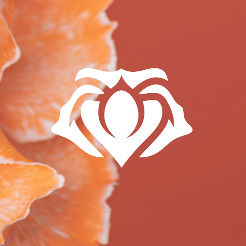 Pretty Designs - 124+ Pretty Design Ideas, Images & Inspiration In 2024 ...