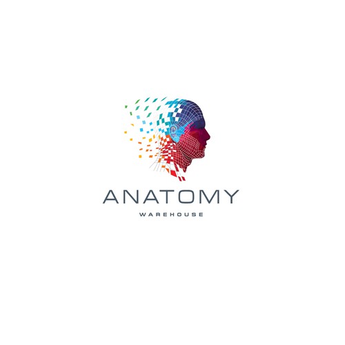 Anatomical Model Co. Looking for Creative, Modern Yet Timeless Logo ...
