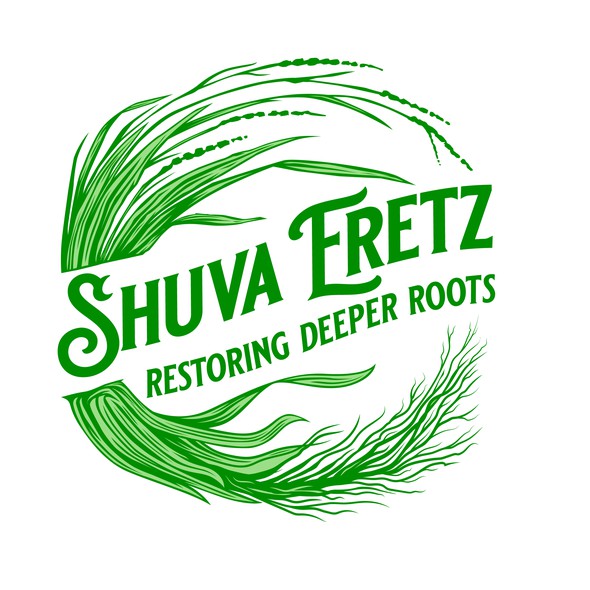 Root Logos - 180+ Best Root Logo Ideas. Free Root Logo Maker. | 99designs