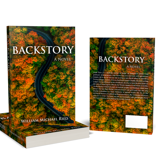Designs | Cover for Backstory, a literary novel and surprise mystery ...