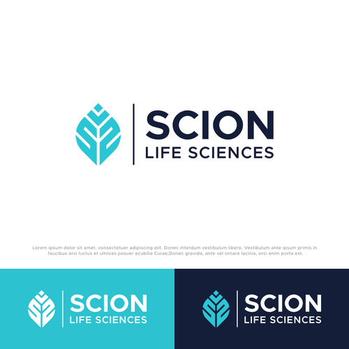 Designs | Putting the Finishing Touches on Our Life Sciences Company ...