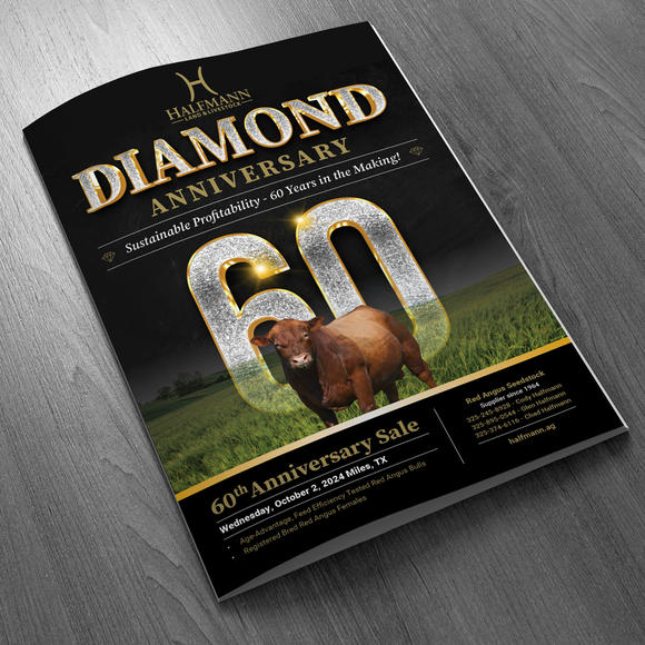 The 10 best freelance magazine cover designers for hire in 2023 - 99designs