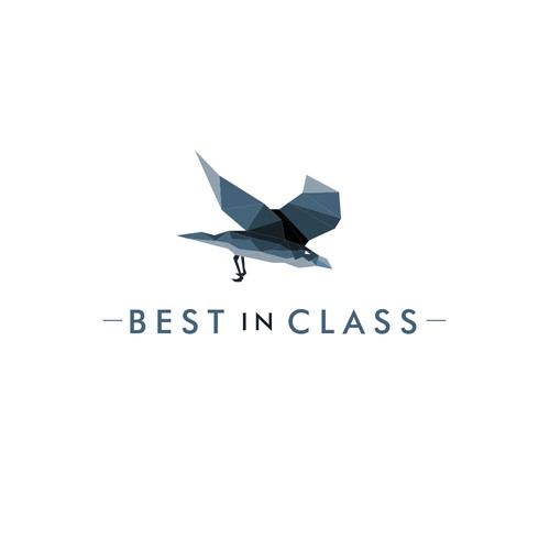 Creating a Best In Class logo for Best In Class +businesscard | Logo ...