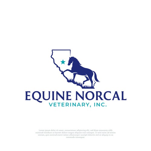 Designs | Looking for an eye catching and powerful equine veterinary ...