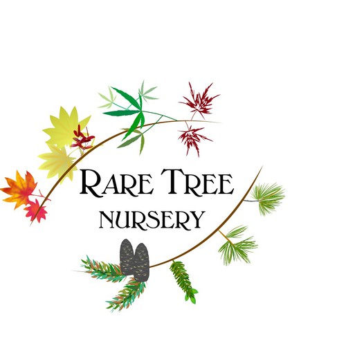 Rare Tree Nursery LOGO | Logo design contest