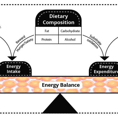 Energy Balance Graphic | Illustration or graphics contest